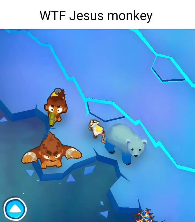 WTF Jesus monkey - iFunny