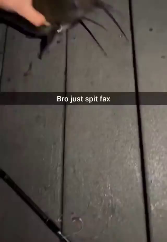 Bro just spit fax - iFunny