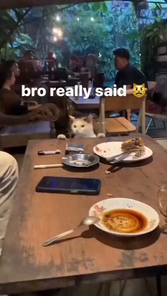 Bro really said - iFunny