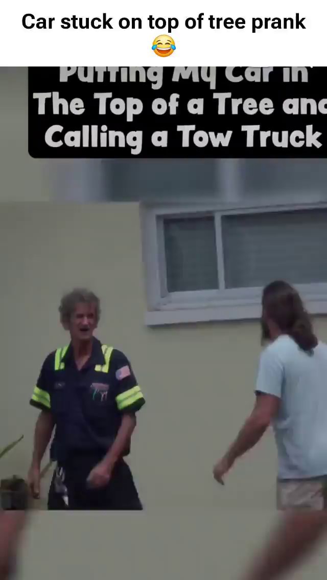 Car stuck on top of tree prank The Top of a Tree anc Calling a Tow ...
