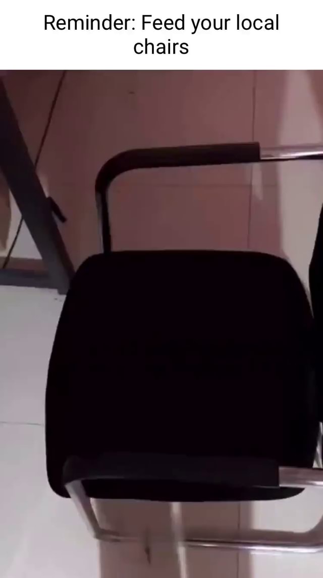 Reminder: Feed your local chairs - iFunny