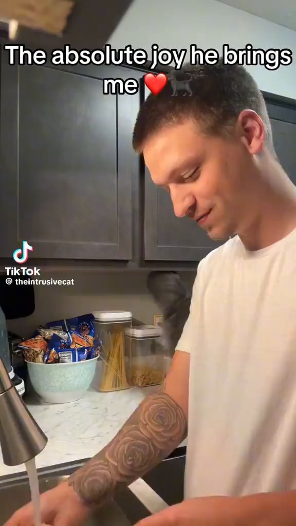 The absolute joy he brings me TikTok theintrusivecat - iFunny