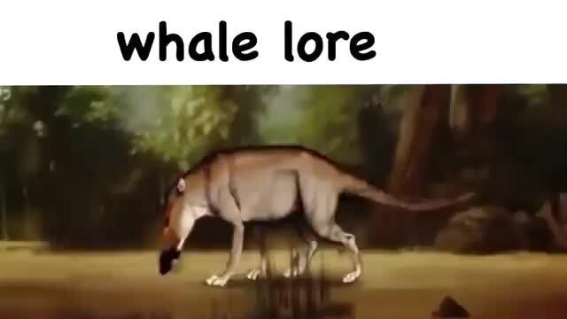 Whale lore We - iFunny