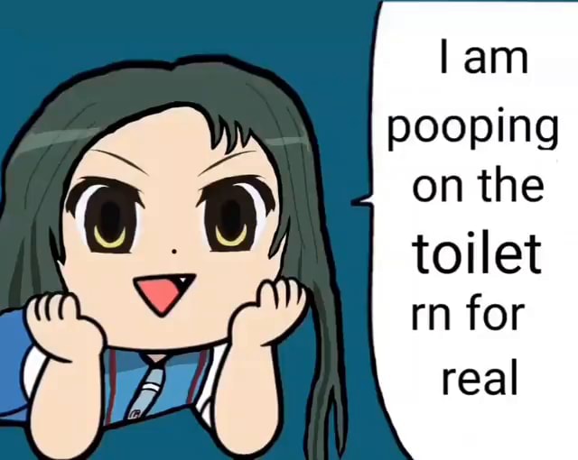 Lam pooping on the toilet rn for real - iFunny