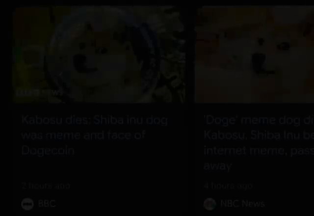 Kabosu dies; Shiba inu dog was meme and face of Dogecaln hours ang ...