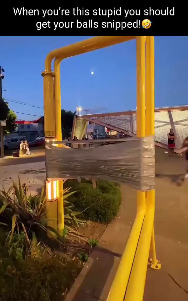 When you're this stupid you should get your balls snipped'@ - iFunny