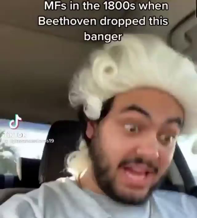 MEs in the 1800s when Beethoven dropped this banger - iFunny