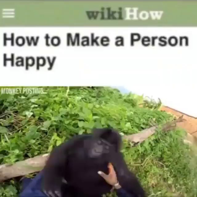 Wiki How to Make a Person Happy - iFunny