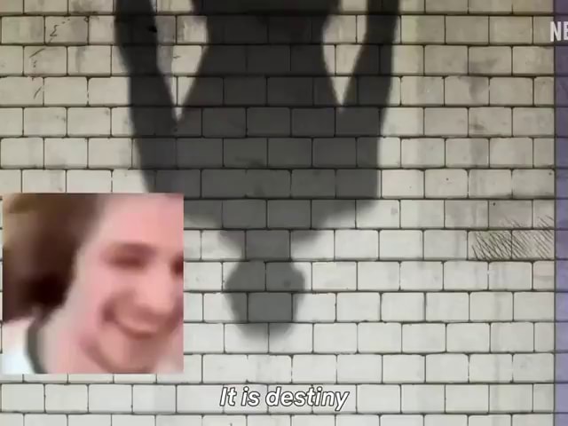 Itis destiny - iFunny