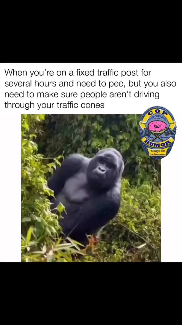 #cophumor #copmemes #policememes #trooper #chp #bluelinestrong # ...