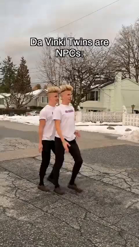 Da Vinki Twins are NPCs: - iFunny
