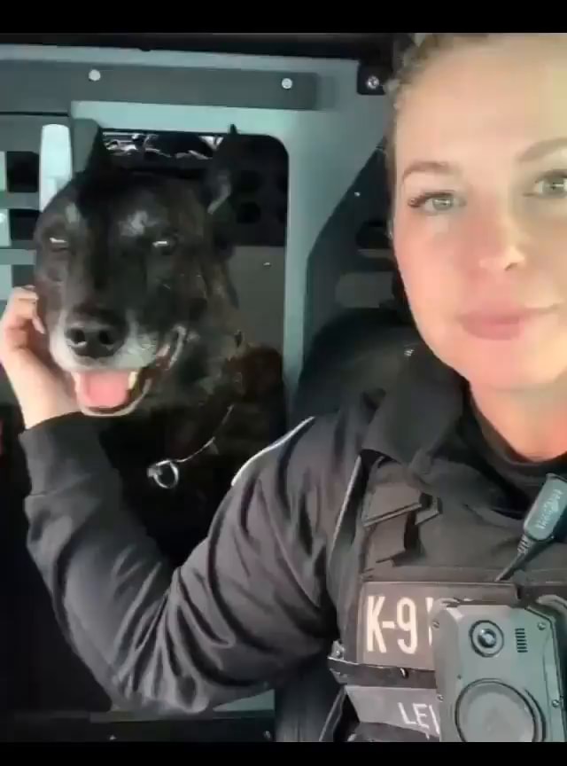 Video memes 1CiS6AKlA by THE_PSYCHO_WOLF_: 2 comments - iFunny