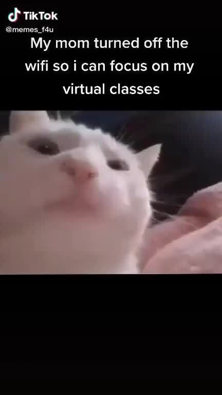 TikTok @memes_f4u My mom turned off the wifi so can focus on my virtual ...