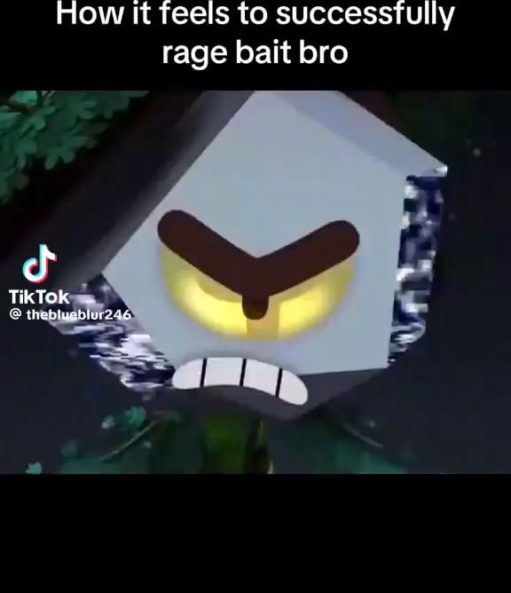 How It feels to successfully rage bait bro cS TikTok thenweviur 246 ...