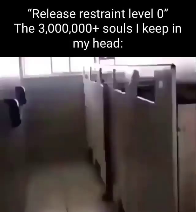 "Release restraint level 0" The 3,000,000+ souls I keep in my head ...