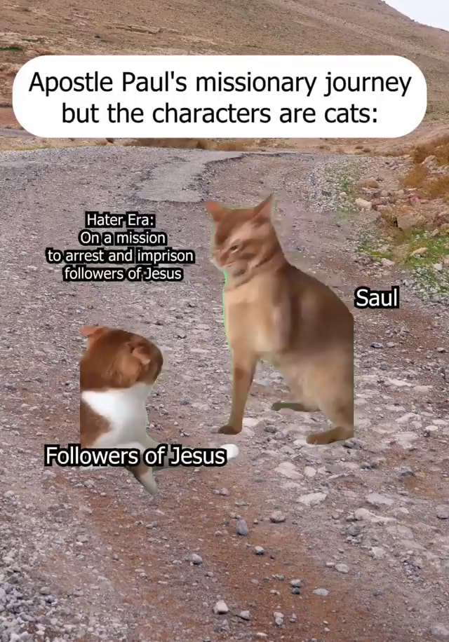 Apostle Paul's missionary journey but the characters are cats: Hater ...