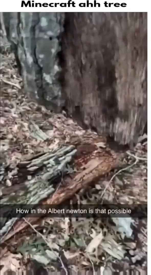 Minecraft ahh tree How in the Albert newlon that - iFunny