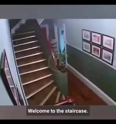 Happy Friday Dumpy Dump check WiFi - iFunny