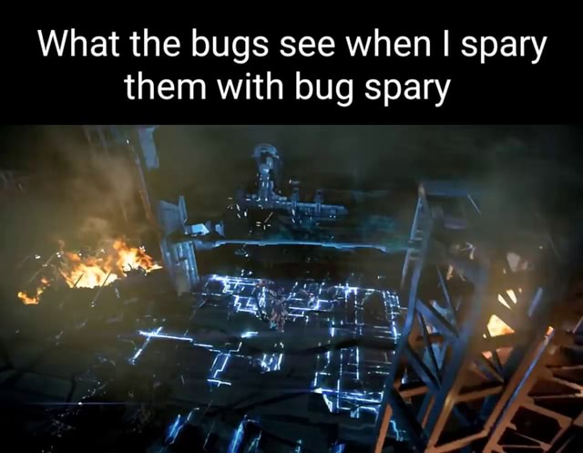 What the bugs see when I spary them with bug spary NY - iFunny