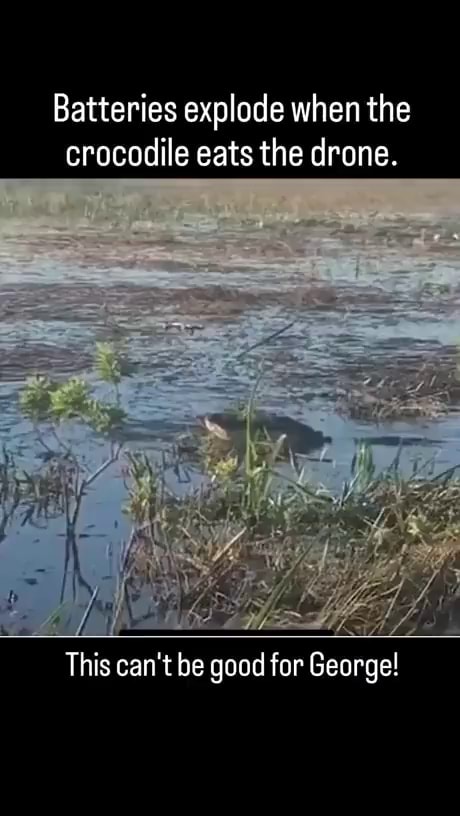 Batteries explode when the crocodile eats the drone. This can't be good ...