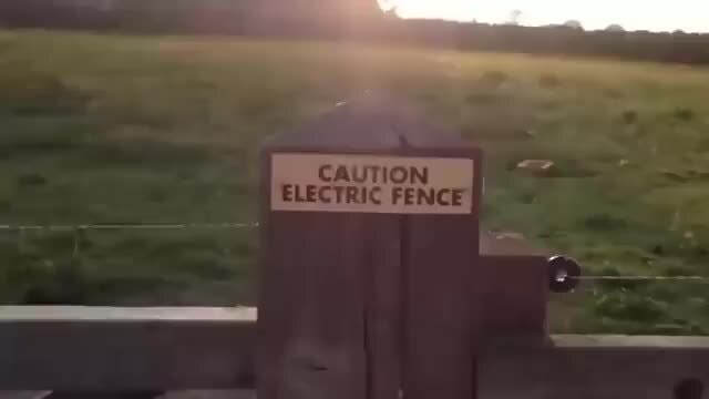 CAUTION ELECTRIC FENCE - iFunny