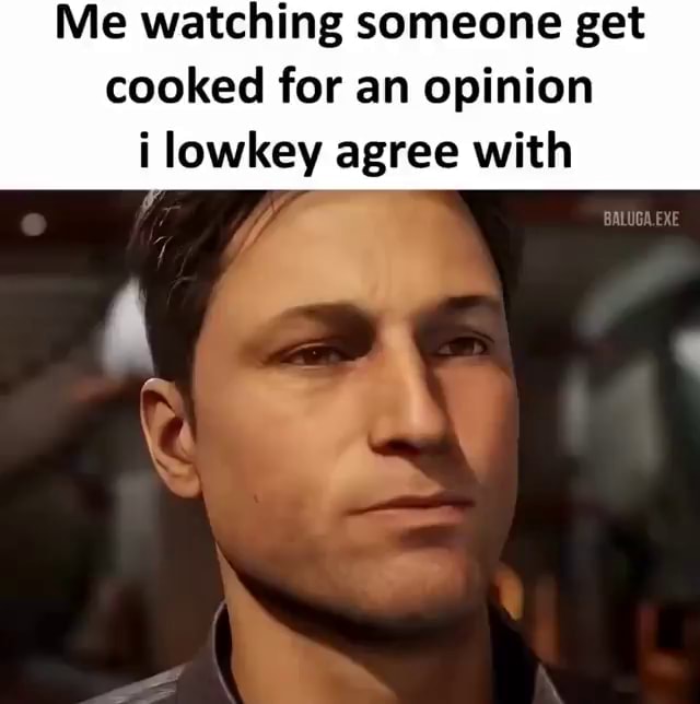 Me watching someone get cooked for an opinion i lowkey agree with - iFunny