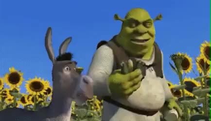 Shrek came out in 2001 and has since spawned way too many weird memes ...