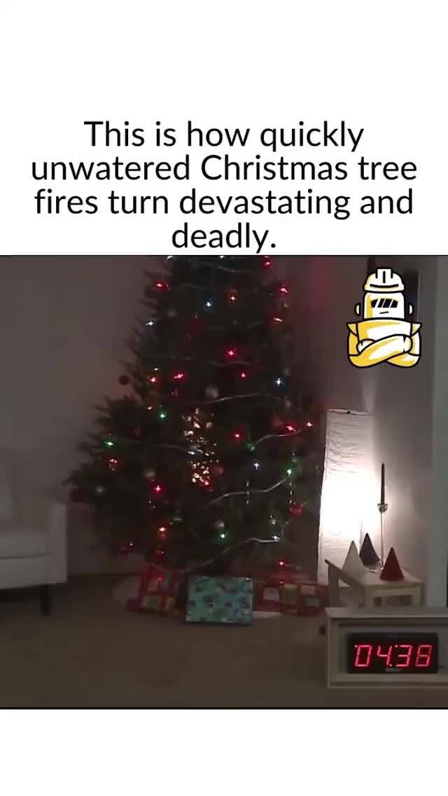 This is how quickly unwatered Christmas tree fires turn devastating and ...