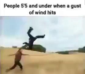 People 5'5 and under when a gust of wind hits - iFunny