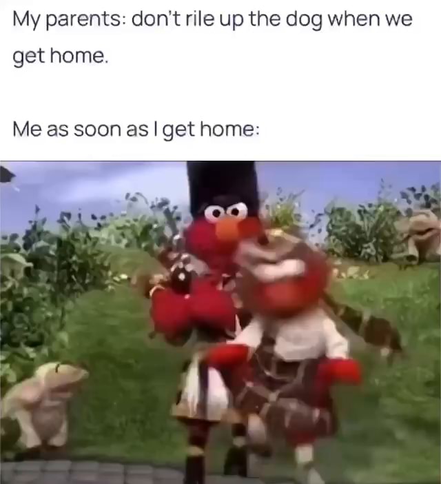 My parents: don't rile up the dog when we get home. Me as soon as I get ...