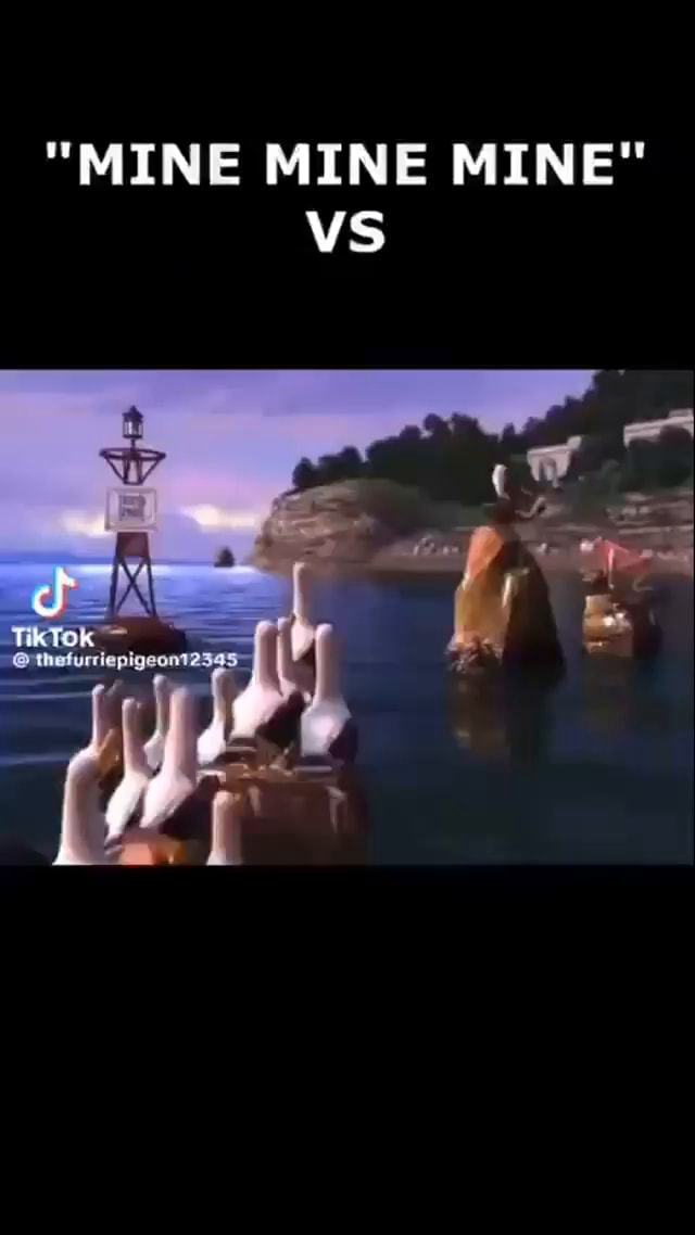 "MINE MINE MINE" VS these - iFunny