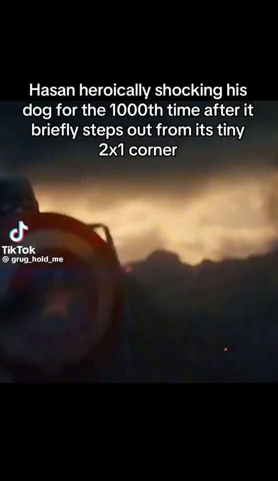 Hasan heroically shocking his dog for the 1000th time after it briefly ...