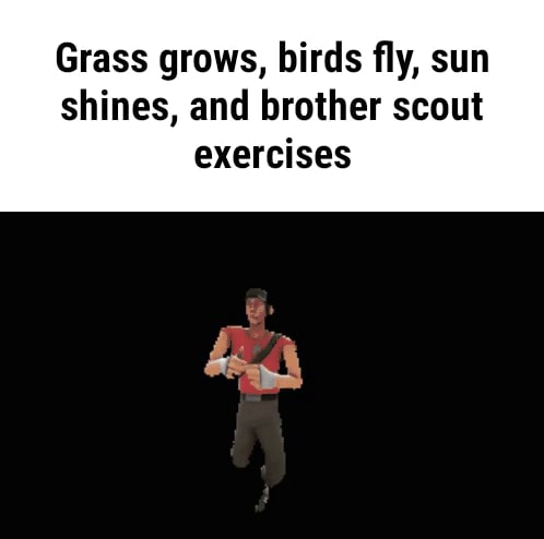 Grass grows, birds fly, sun shines, and brother scout exercises - iFunny