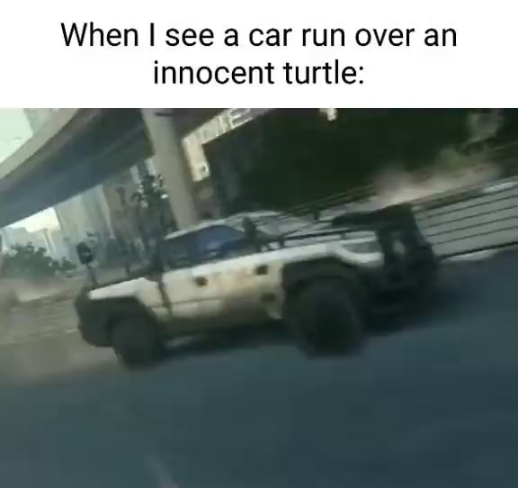 When see a car run over an innocent turtle: - iFunny