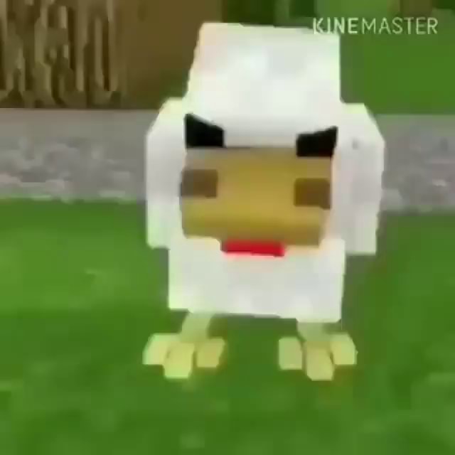 Chicken fight in minecraft - iFunny