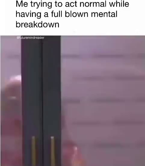 Me trying to act normal while having a full blown mental breakdown - iFunny