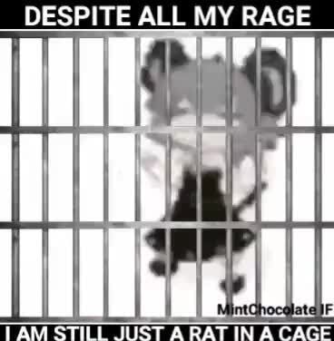 DESPITE ALL MY RAGE - iFunny