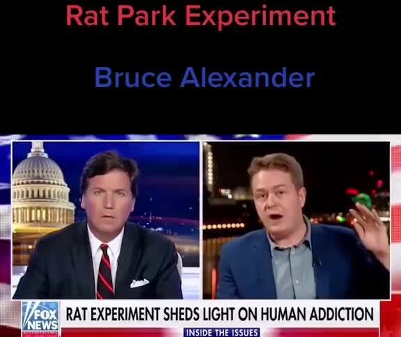Rat Park Experiment Bruce Alexander RAT EXPERIMENT SHEDS LIGHT ON HUMAN ...
