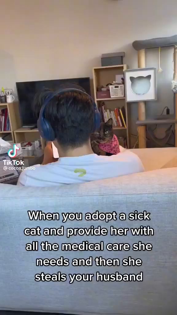 TikTok When you adopt a sick cat and provide her with all the medical ...