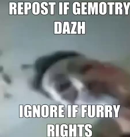 REPOST IF GEMOTRY DAZH IGNORE IF FURRY RIGHTS - iFunny