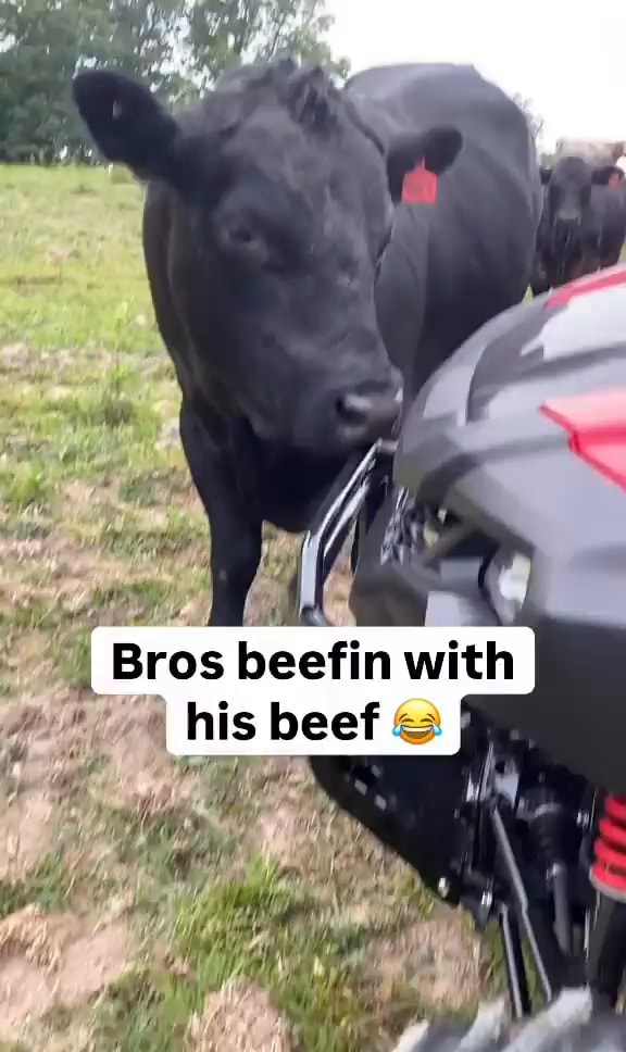Ry Bros beefin with his beef @ - iFunny