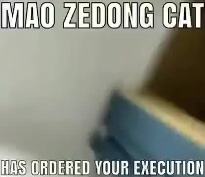 MAO ZEDONG CAT - iFunny Brazil