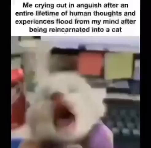 Me crying out in anguish after an entire lifetime of human thoughts and ...