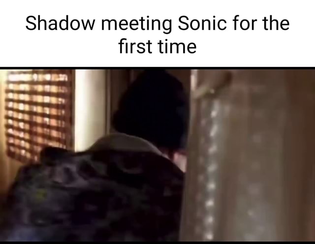 Shadow meeting Sonic for the first time - iFunny