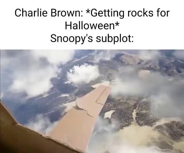 Charlie Brown: *Getting rocks for Halloween* Snoopy's subplot: - iFunny