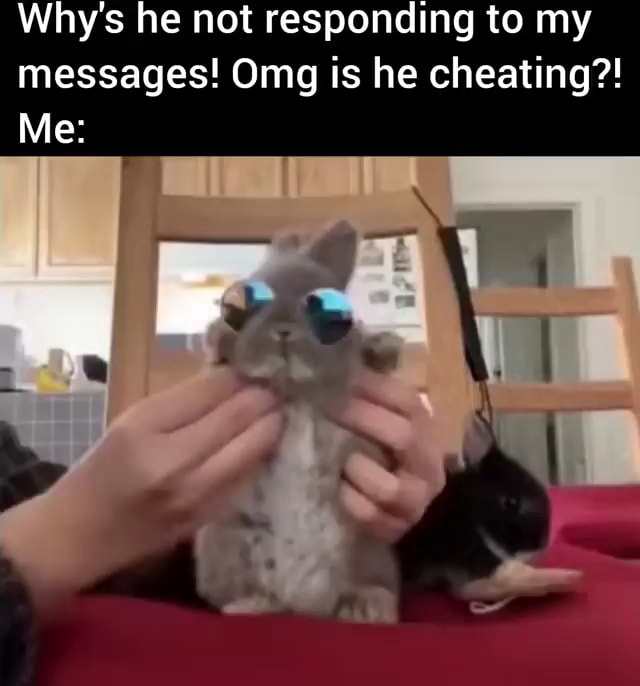 Me: Why's he not responding to my messages! Omg is he cheating?! - iFunny