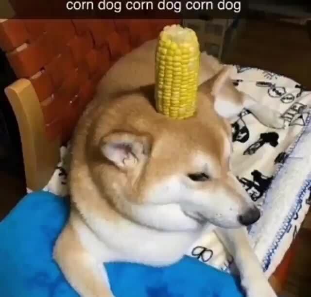 Corn gog corn Gog corn dog - iFunny