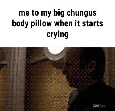 Me to my big chungus body pillow when it starts crying - iFunny