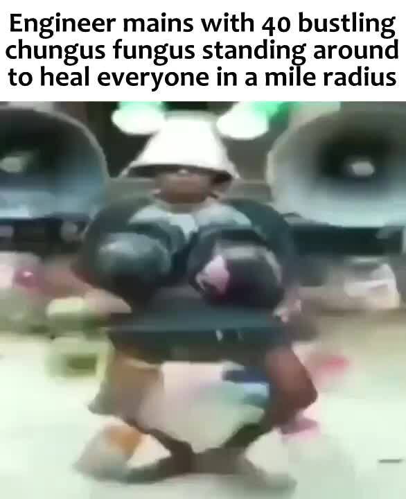 Risk of rain meme - Engineer mains with 40 bustling chungus fungus ...