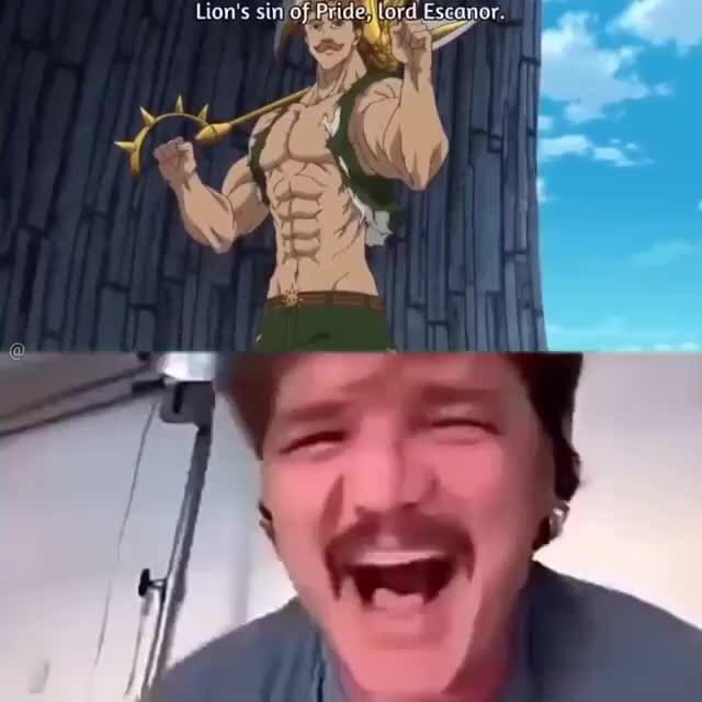 Lion's sin /of, lord Escanor. - iFunny